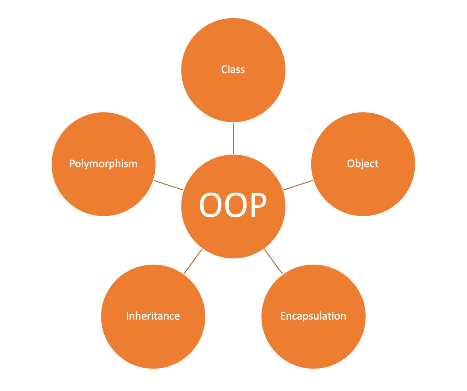 5 Basic Ideas Of Object Oriented Programming The Dev News